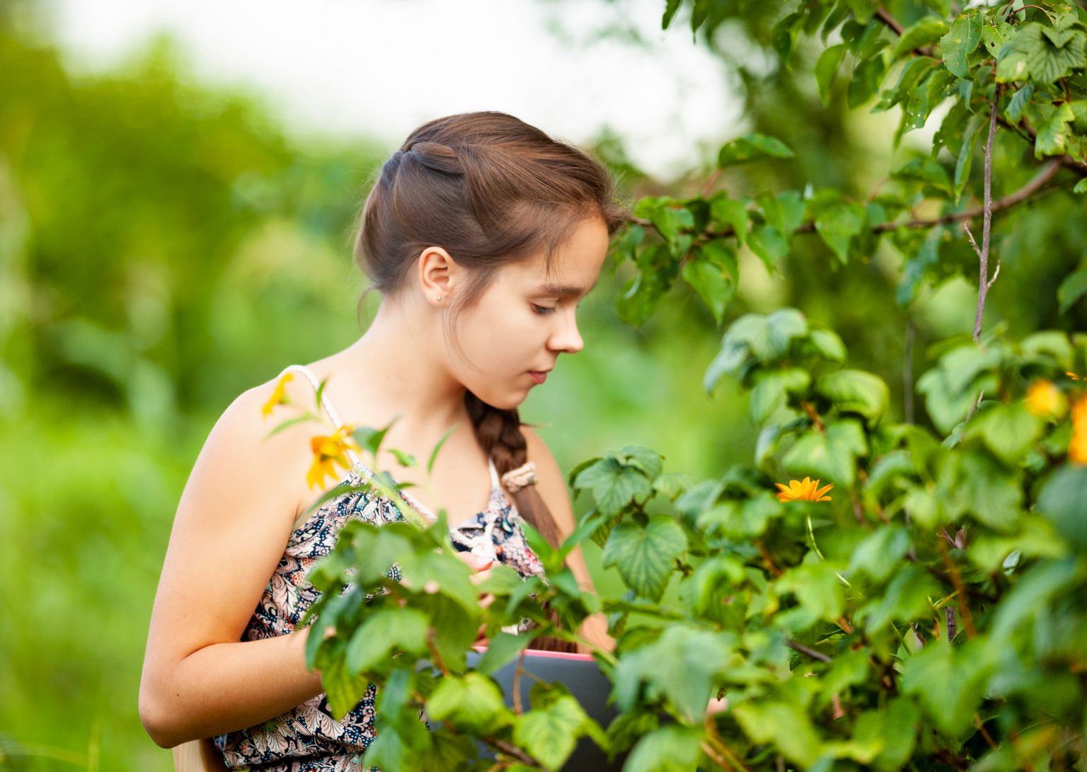 What is the Good Benefit of Berries in Different Ages? ⋆ ZIMMERMAN ...